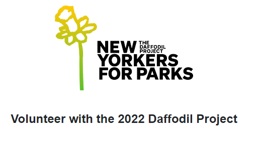 Volunteer With the 2022 Daffodil Project