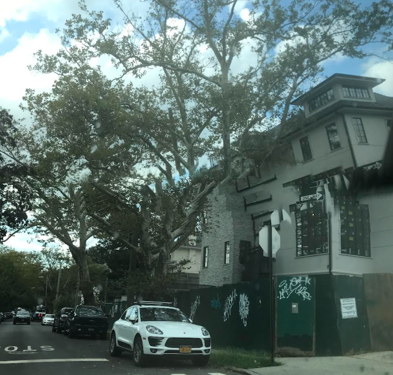 Elegant Queen Of The Click Bay Ridge Photos