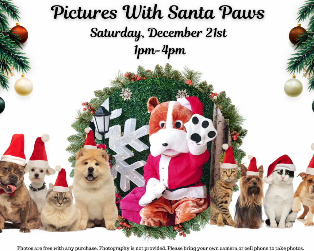 Dog Pics with The Grinch and Santa Paws in Bay Ridge
